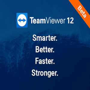Teamviewer 12 background process - jzaplan