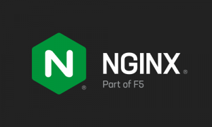 F5 NGINX presenta F5 NGINX Management Suite 1.0 - LineaEDP